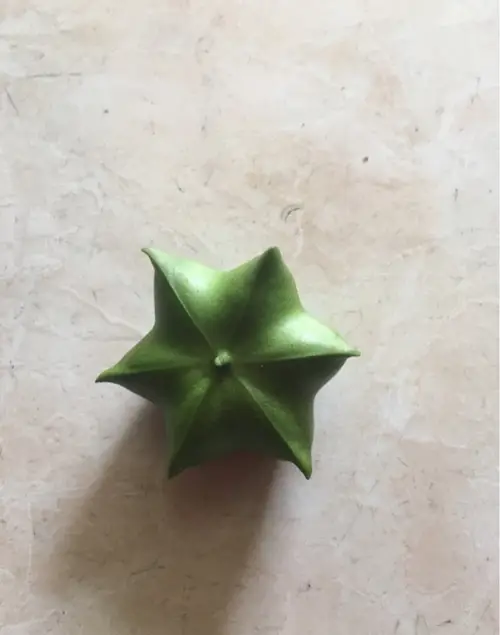 Sacha inche (Plukenetia volubilis) - PictureThis