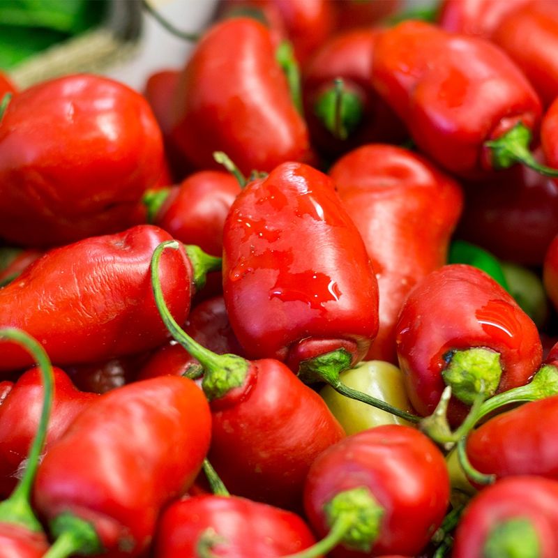 What Are Common Problems for Tree pepper Plants?