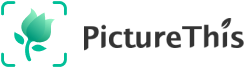 PictureThis - Plant Identifier App | Plant Identification Online