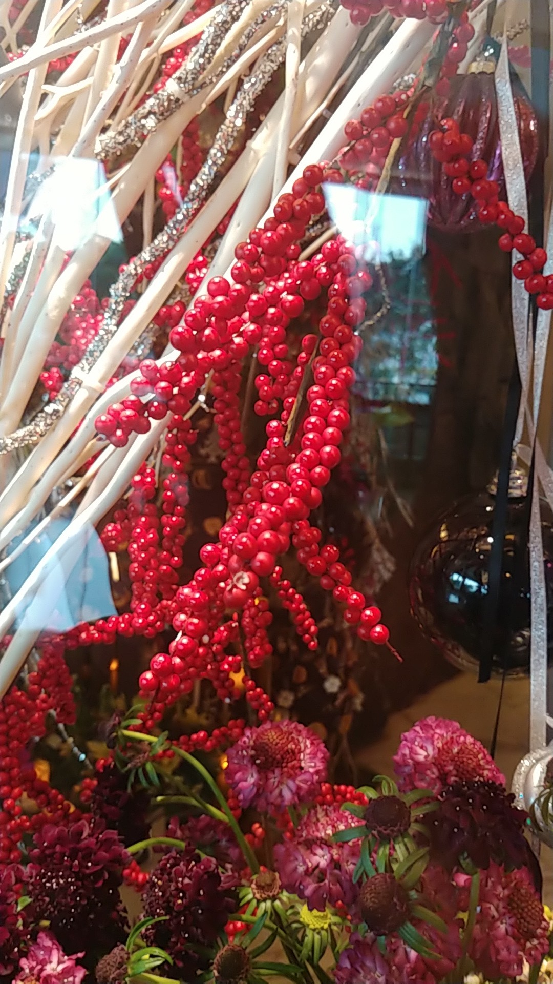 🍀 チョウセンゴミシ（朝鮮五味子）の育て方と世話の仕方