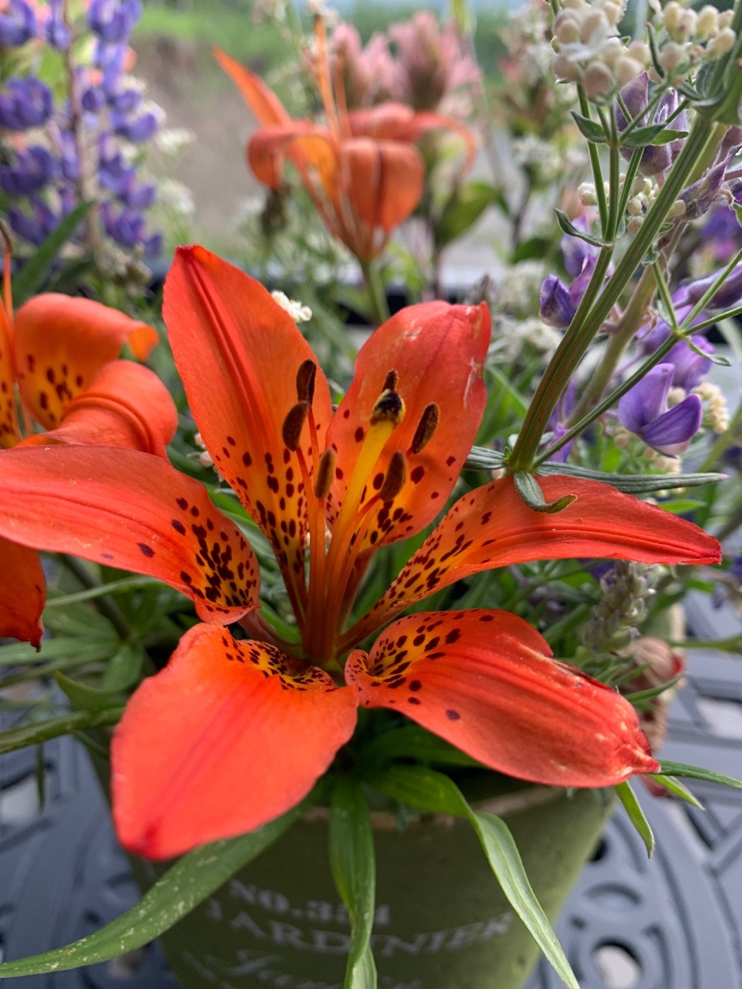 Flor De Lirio Naranja