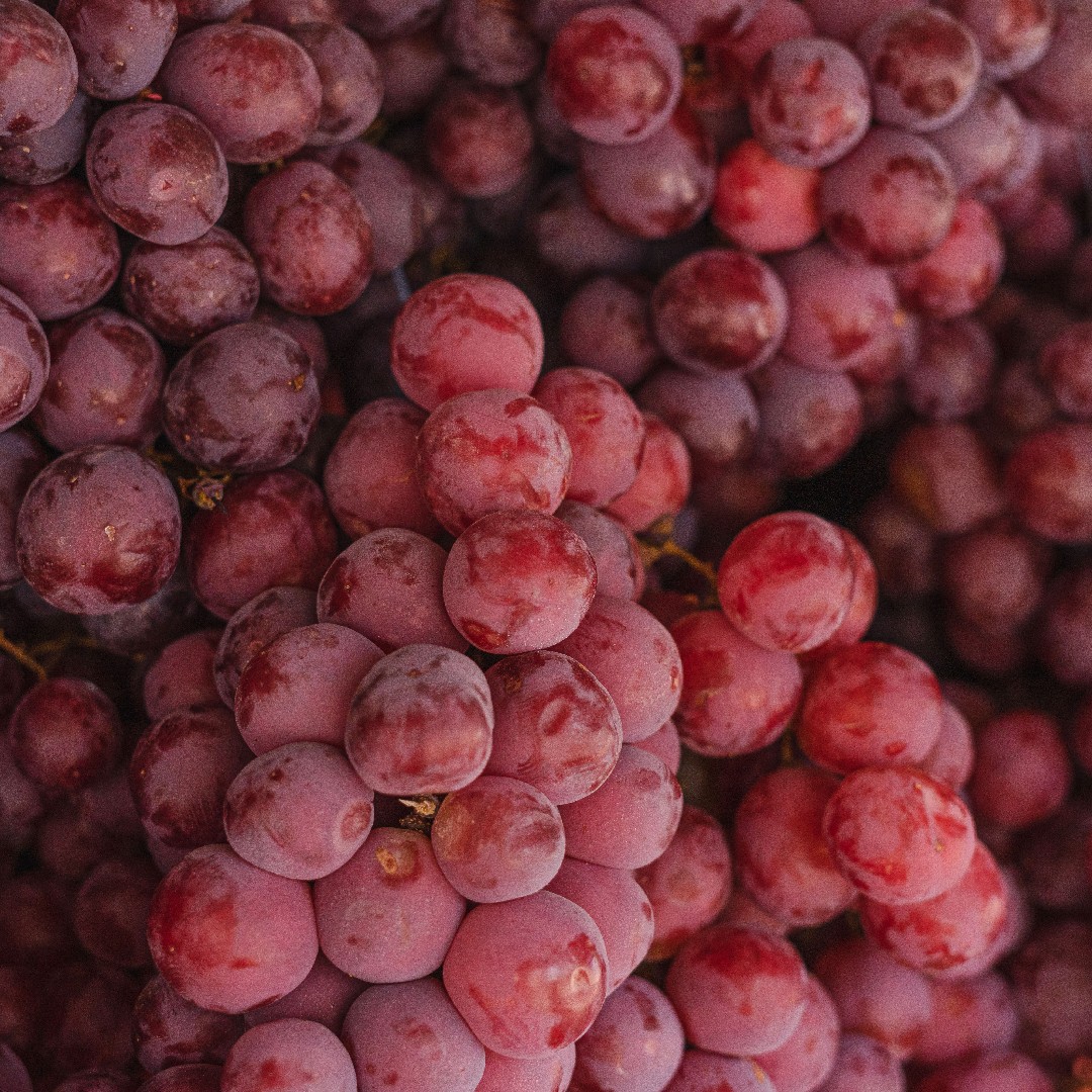 Grapevines Care (Watering, Fertilize, Pruning, Propagation) - PictureThis