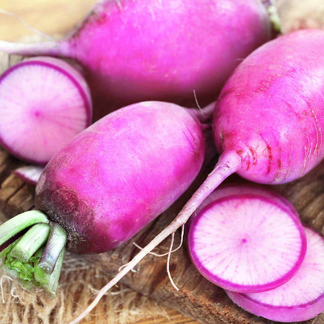 Raphanus sativus 'Bluemoon' - PictureThis