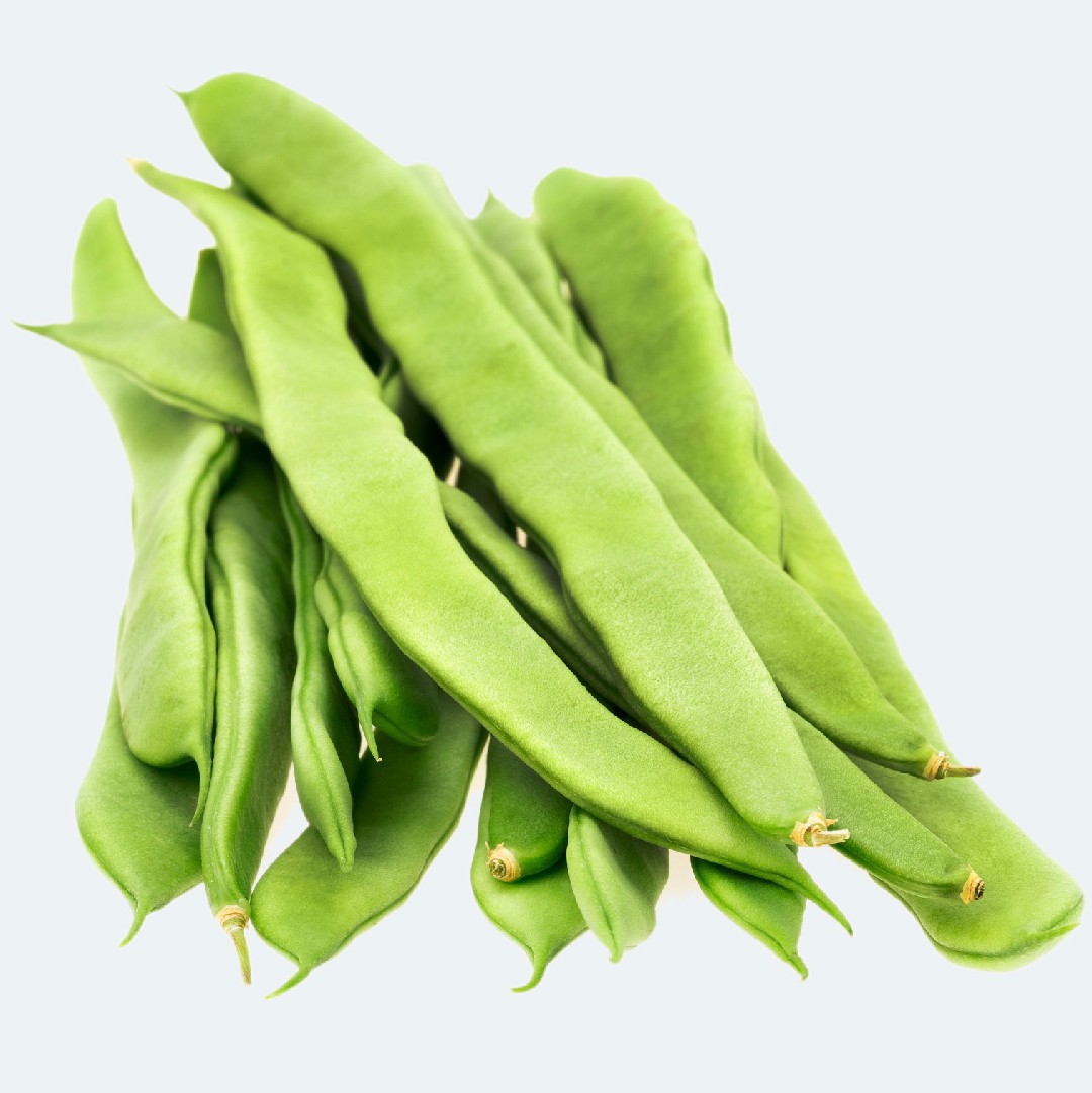 Beans (Phaseolus) Flower, Leaf, Care, Uses - PictureThis
