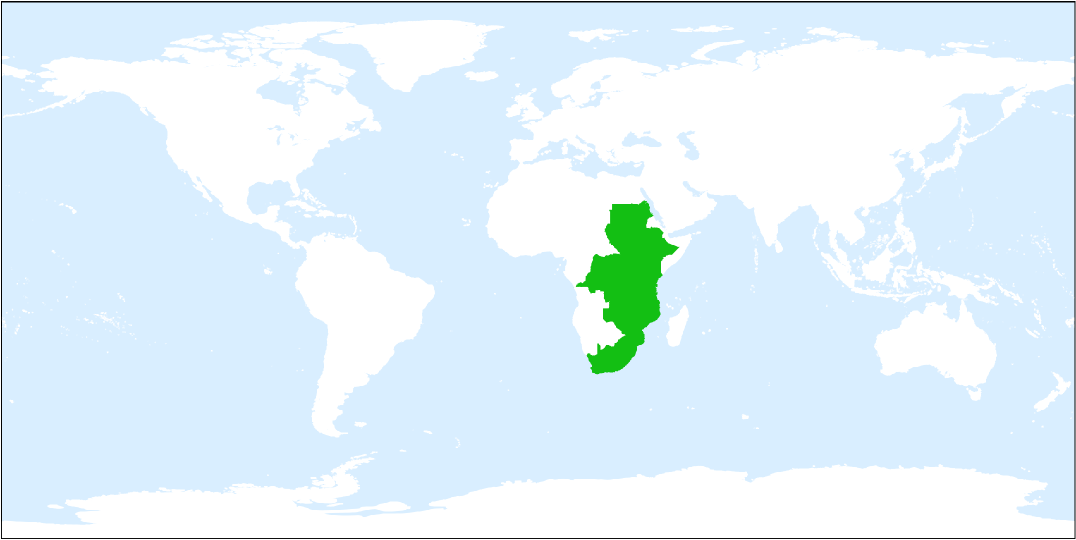 Disa aconitoides - PictureThis