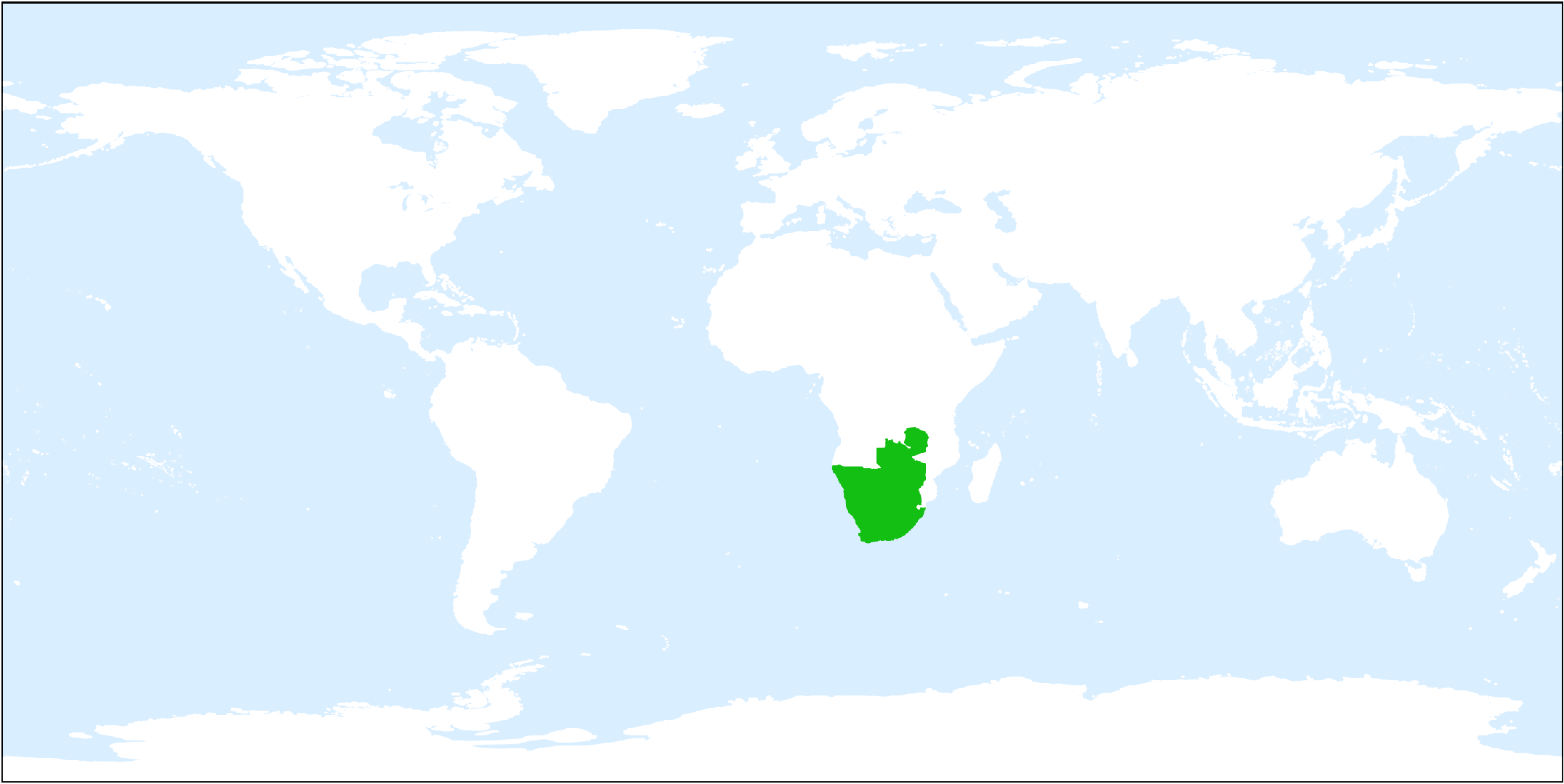 Stenostelma capense - PictureThis