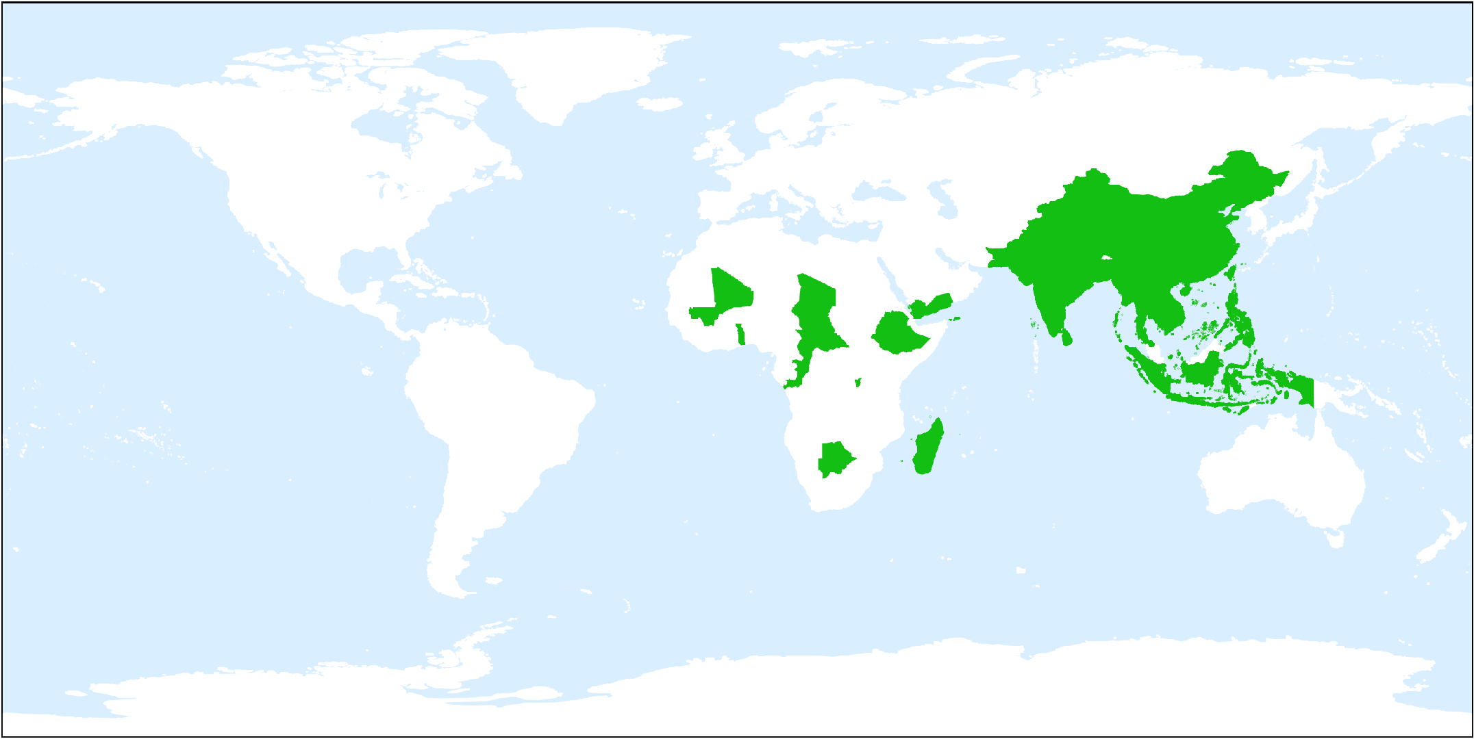 Winged-stem laggera (Laggera alata) Flower, Leaf, Care, Uses - PictureThis