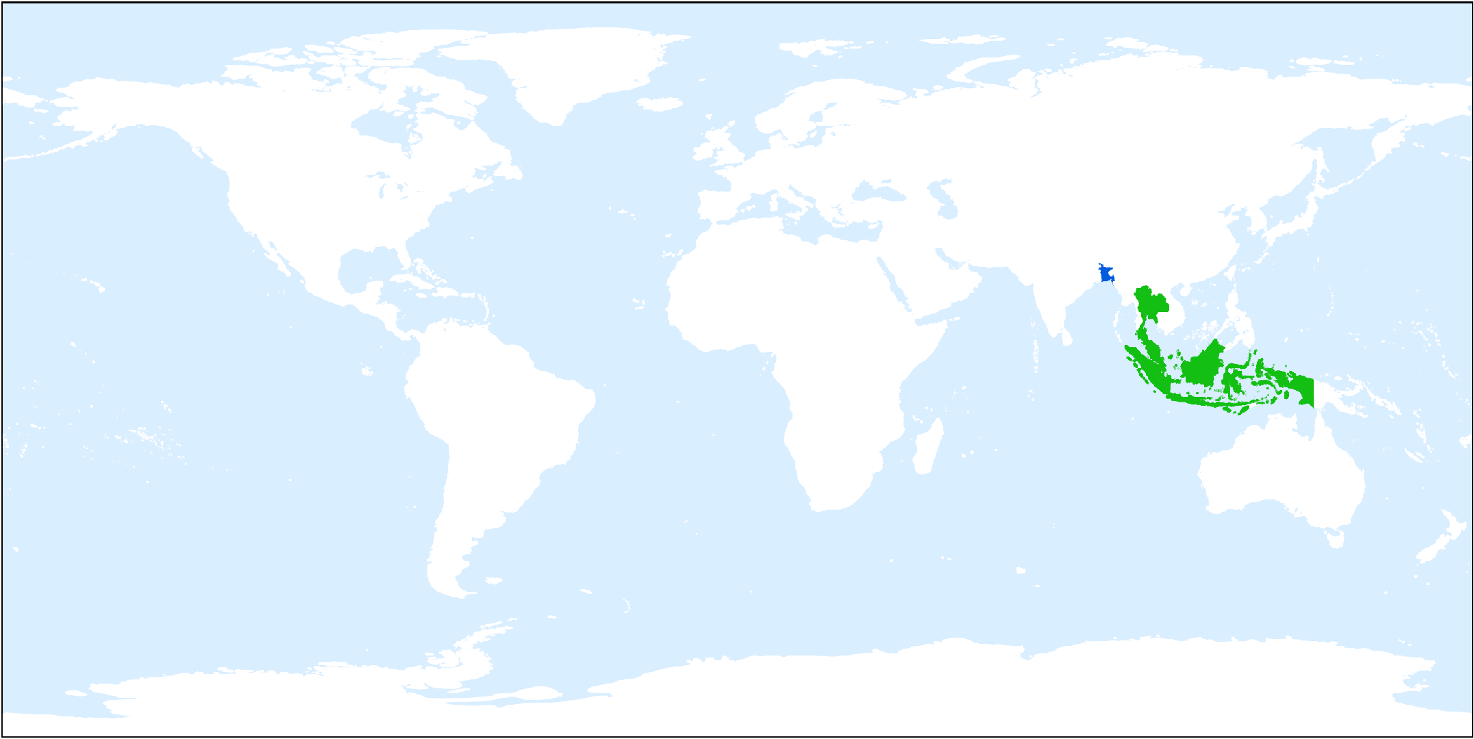 Archidendron bubalinum - PictureThis