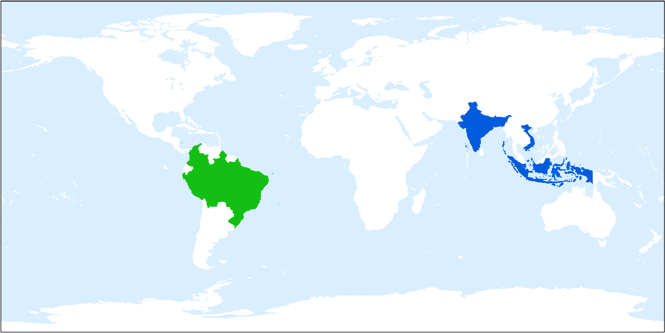 Водяная лилия огромная (Victoria amazonica) - PictureThis