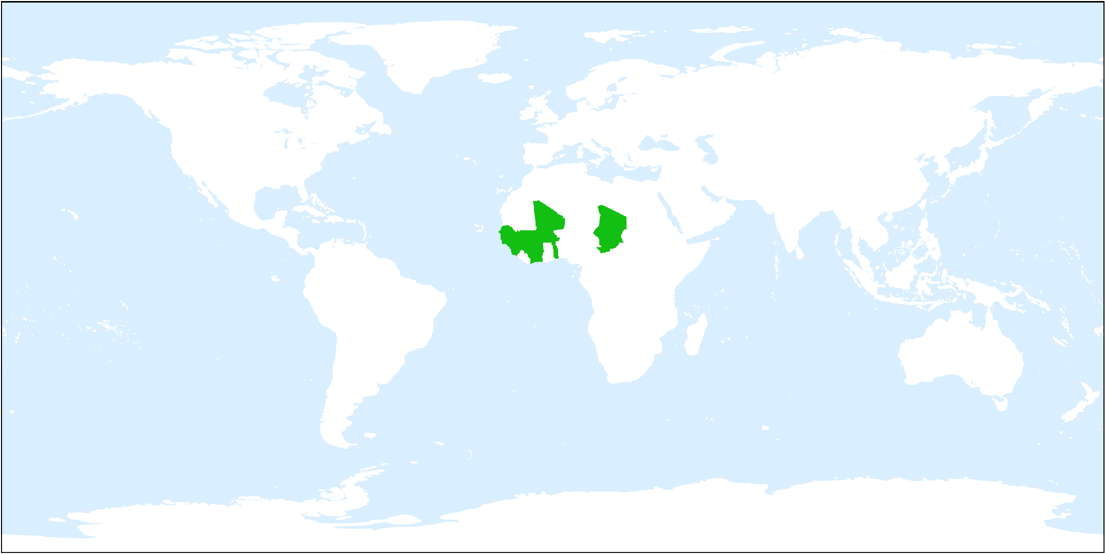 Amorphophallus aphyllus - PictureThis