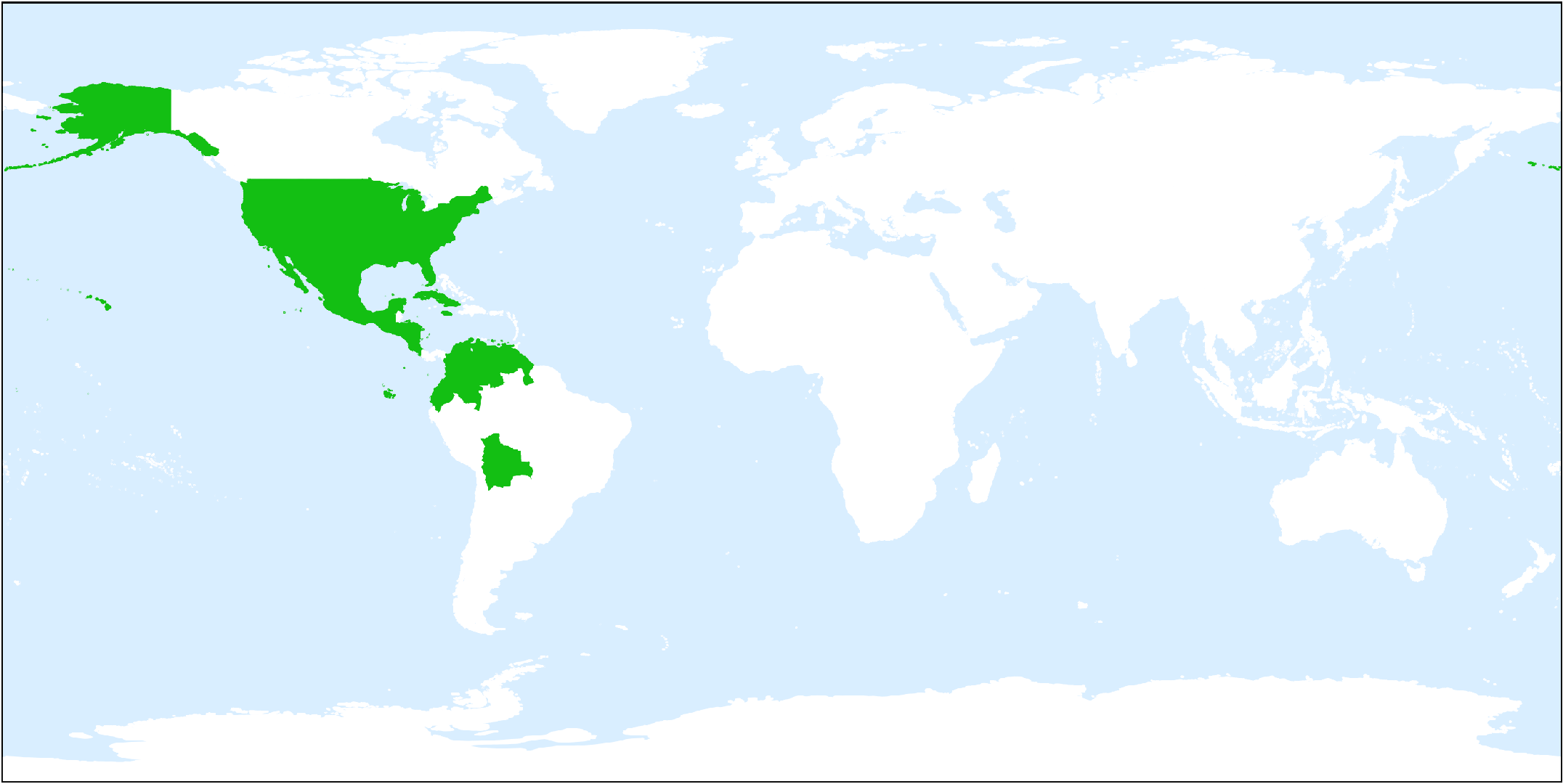 Glinus radiatus - PictureThis