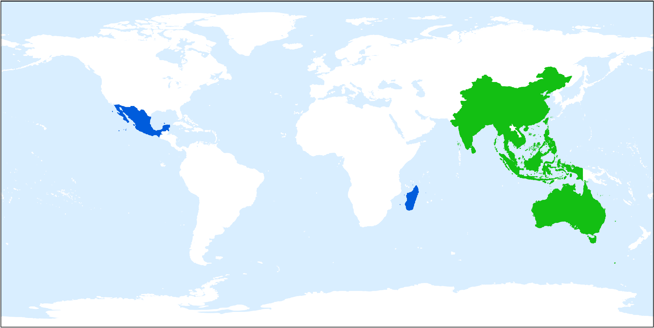 Dentella repens - PictureThis