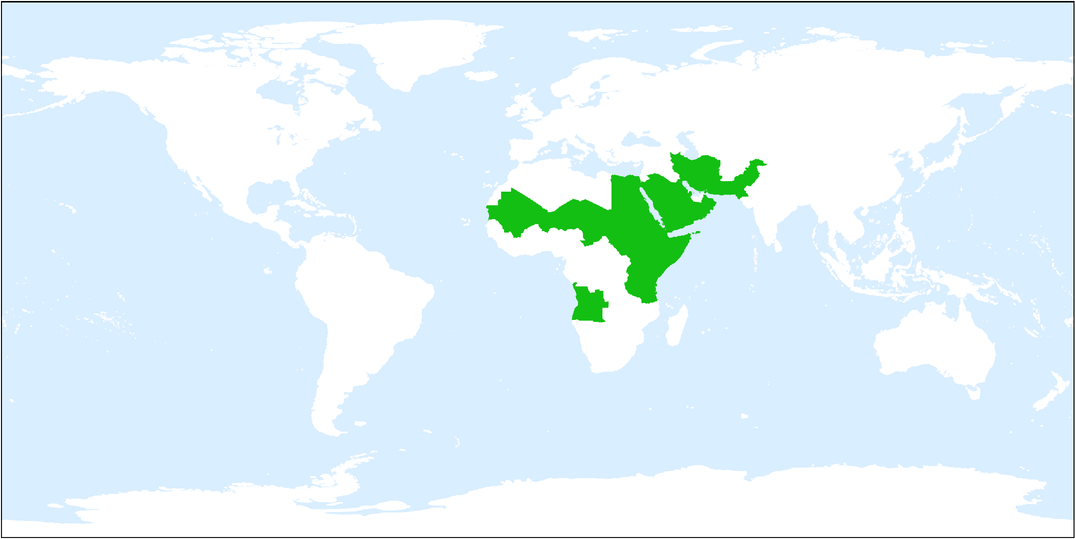 Blepharis edulis - PictureThis