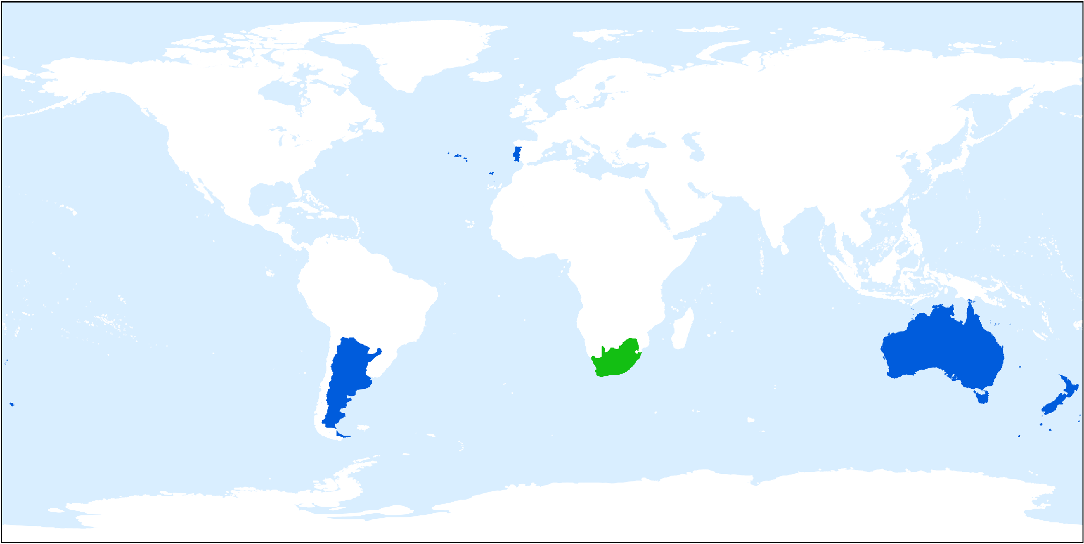 Sparaxis bulbifera - PictureThis