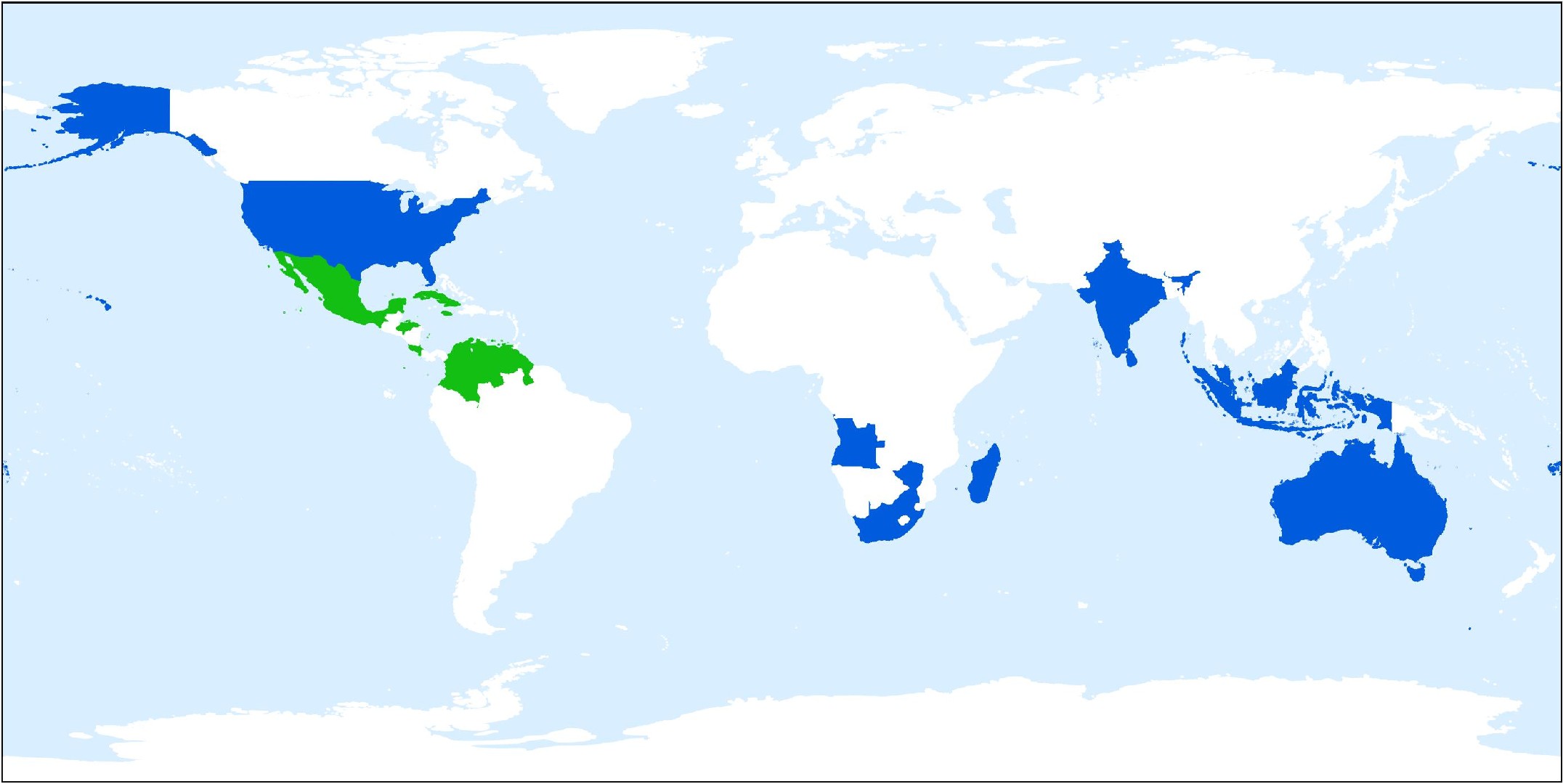 Changeable velvetberry (Stachytarpheta mutabilis) Flower, Leaf, Care ...