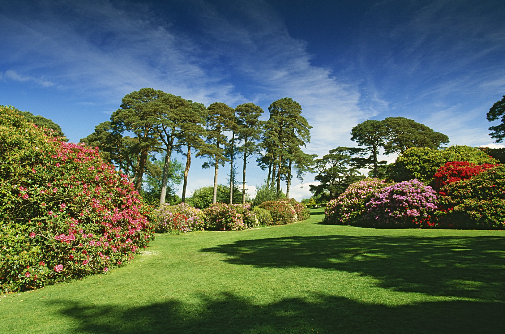 How to Implement Sustainable Hardscaping: The Green Thumb's Guide to Eco-Friendly Garden Design