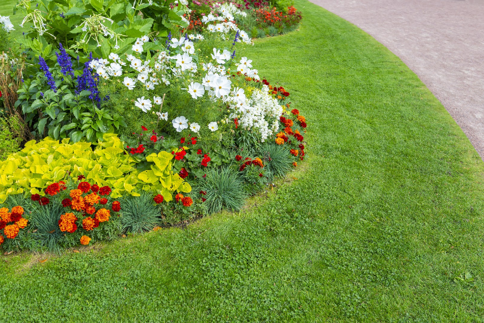 How to Design Annual Flower Beds for a Year-Round Splash of Color