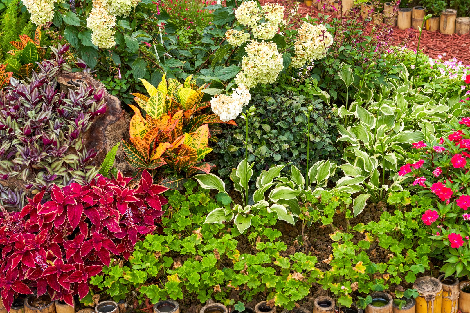 Mastering the Art of Colorful Blooms: Designing Gardens with Perennials ...