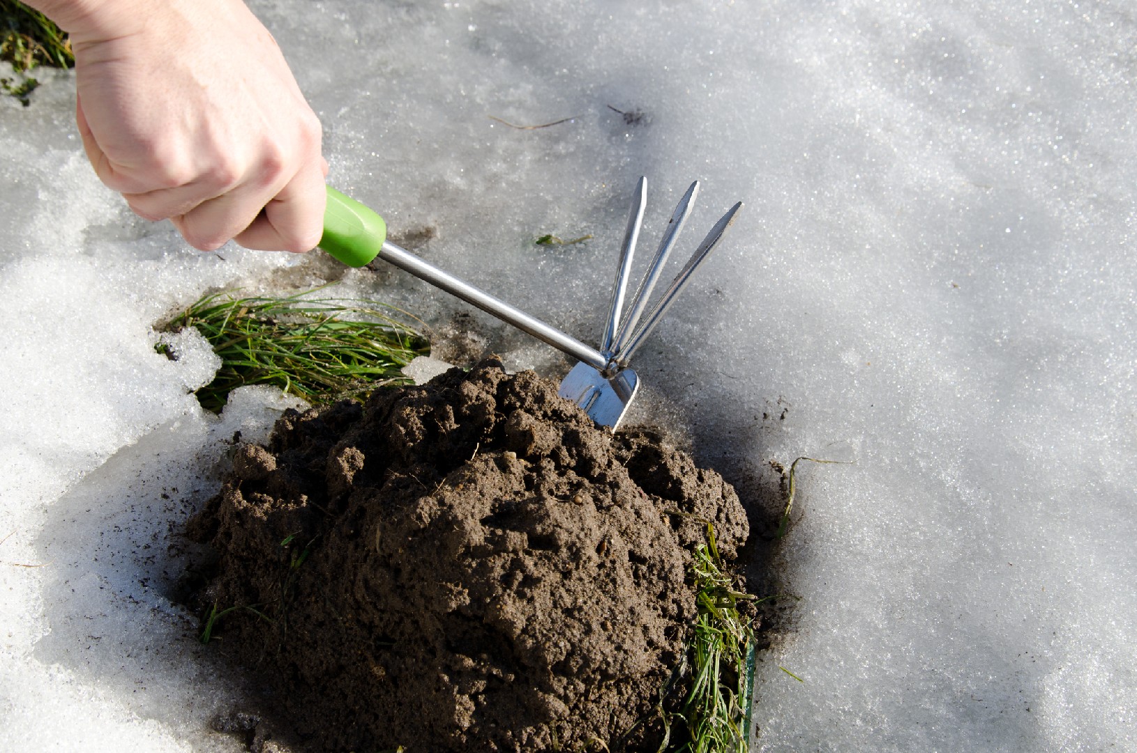 Winter Soil Testing and Amendment