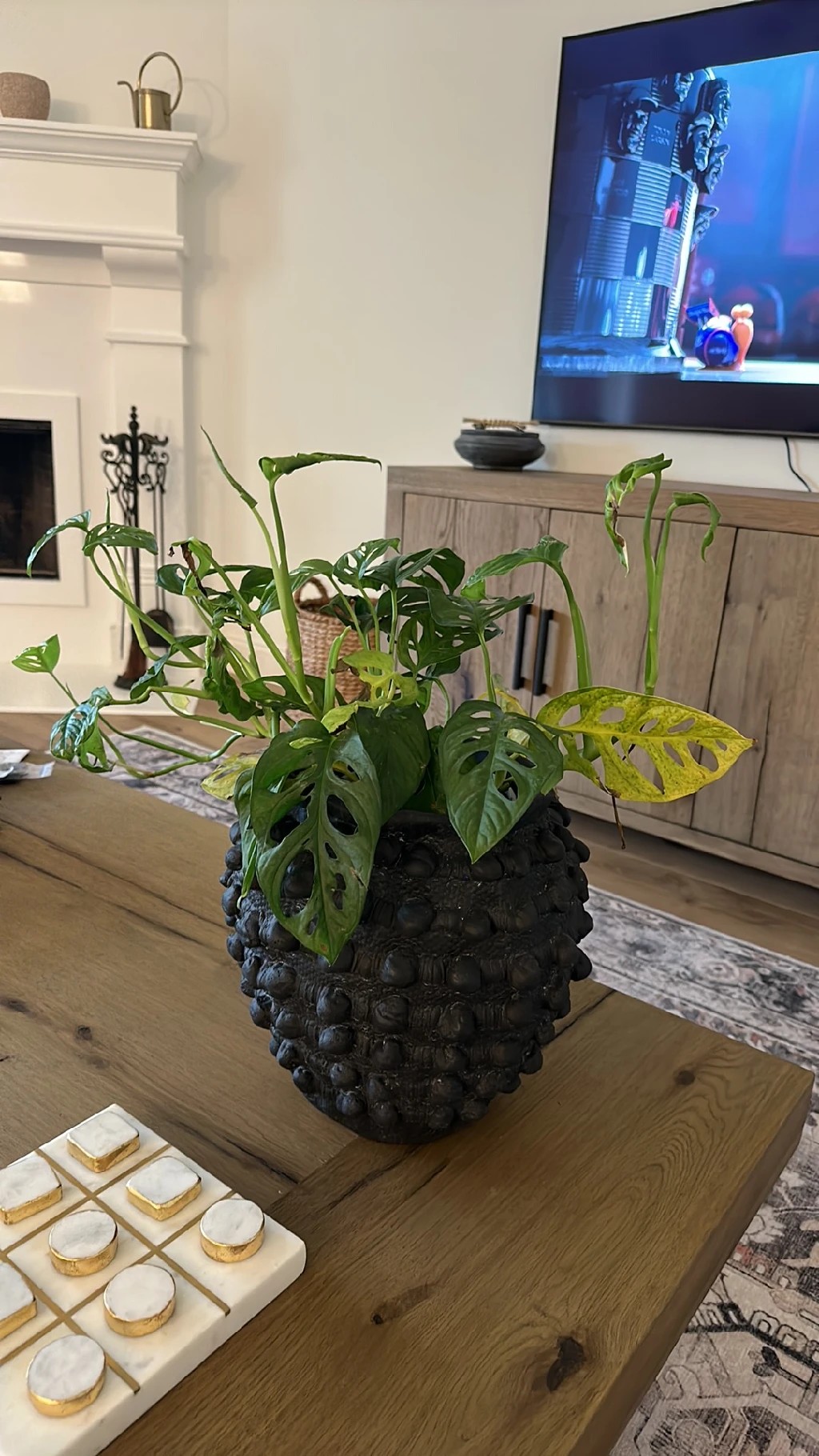 How to Treat Thrips Disease on Monstera obliqua?