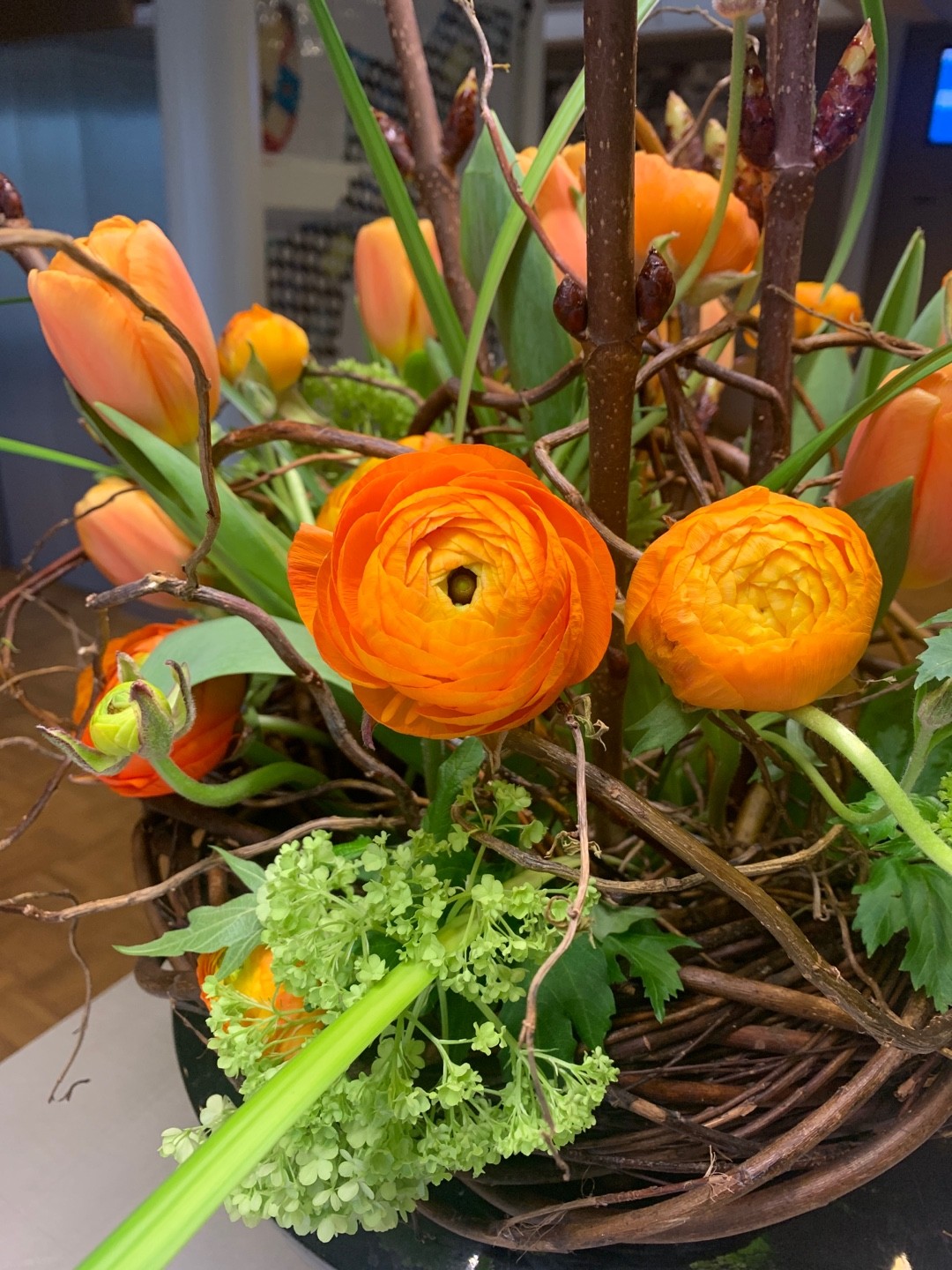 Ranunculus (Ranunculus) - PictureThis