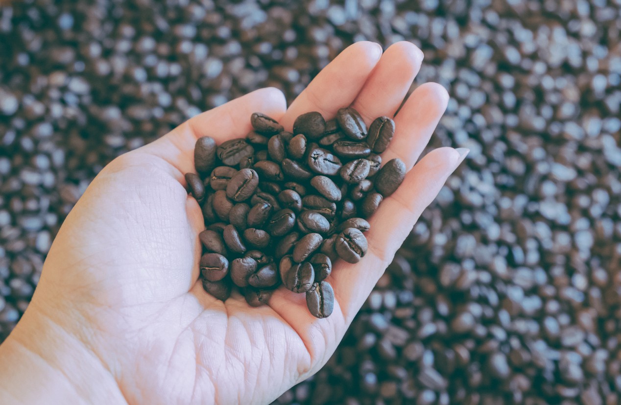Coffea liberica - PictureThis