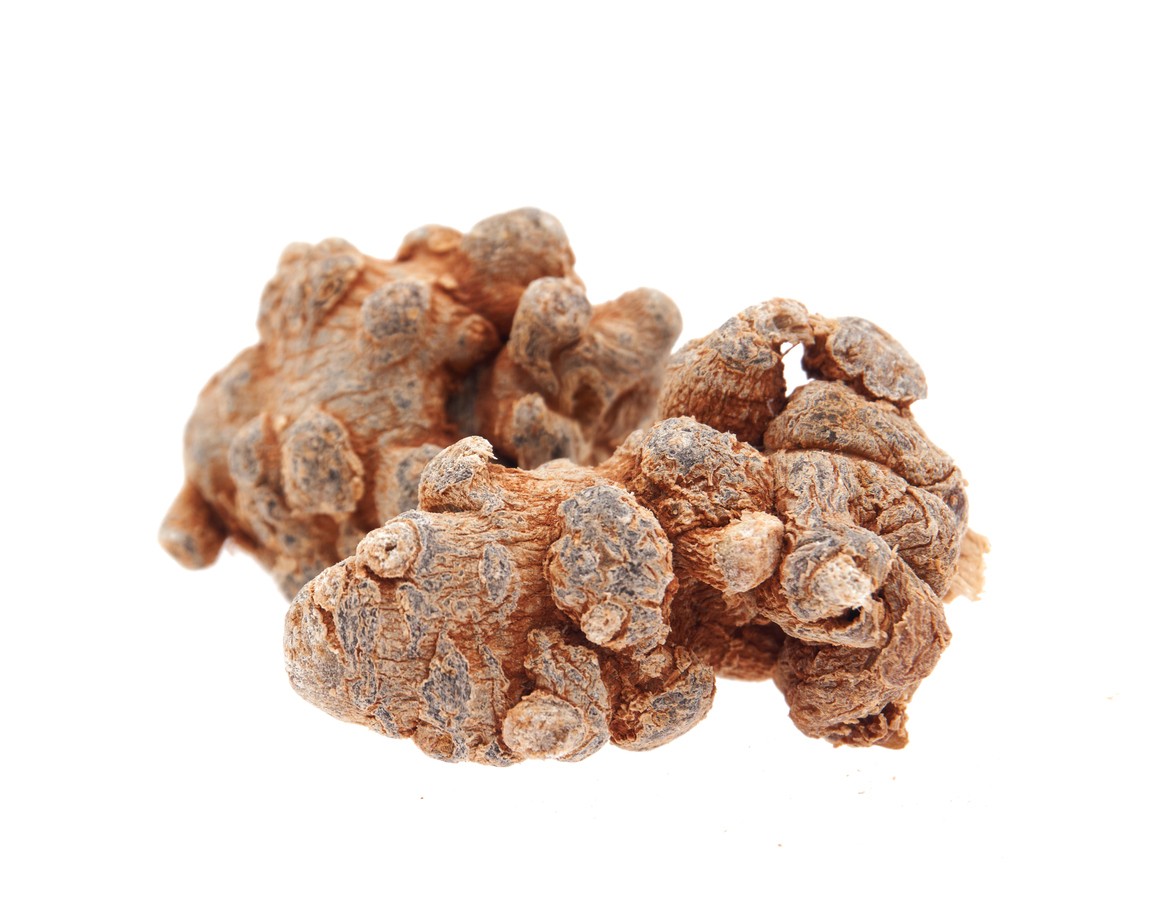 Panax notoginseng - PictureThis