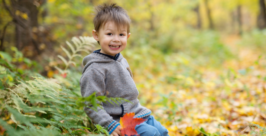Chinese yew (Taxus chinensis) Flower, Leaf, Care, Uses - PictureThis