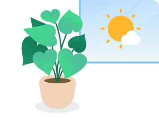 Miniature joshua tree Care (Watering, Fertilize, Pruning, Propagation ...