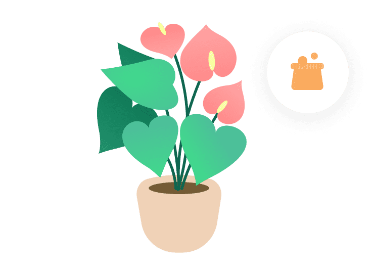 Broad bean Care (Watering, Fertilize, Pruning, Propagation) - PictureThis