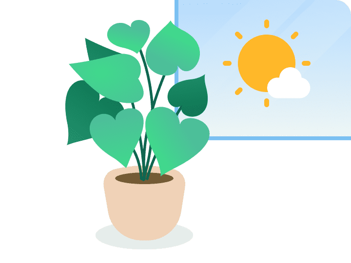 Pitayo dulce Cuidados (Plantando, Fertilizantes, Enfermedades ...