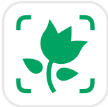 PictureThis - Plant Identifier App | Plant Identification Online