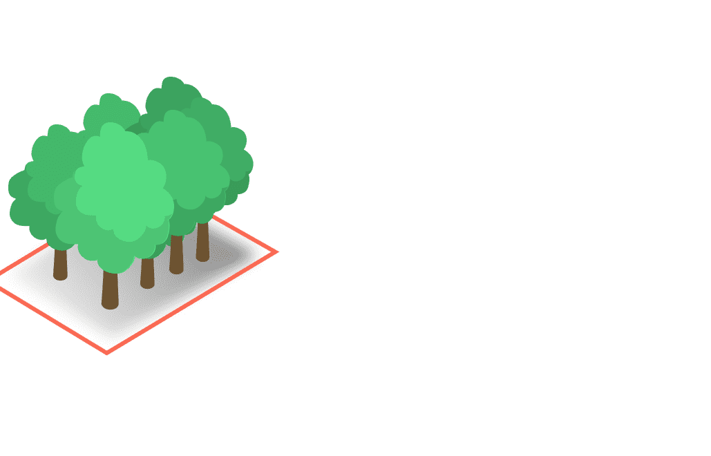 Red feather clover (Trifolium rubens) Flower, Leaf, Care, Uses ...