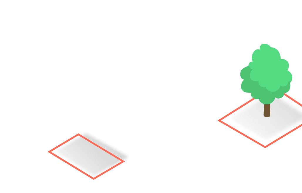 How to Plant and Grow Blackboard tree(Alstonia scholaris)