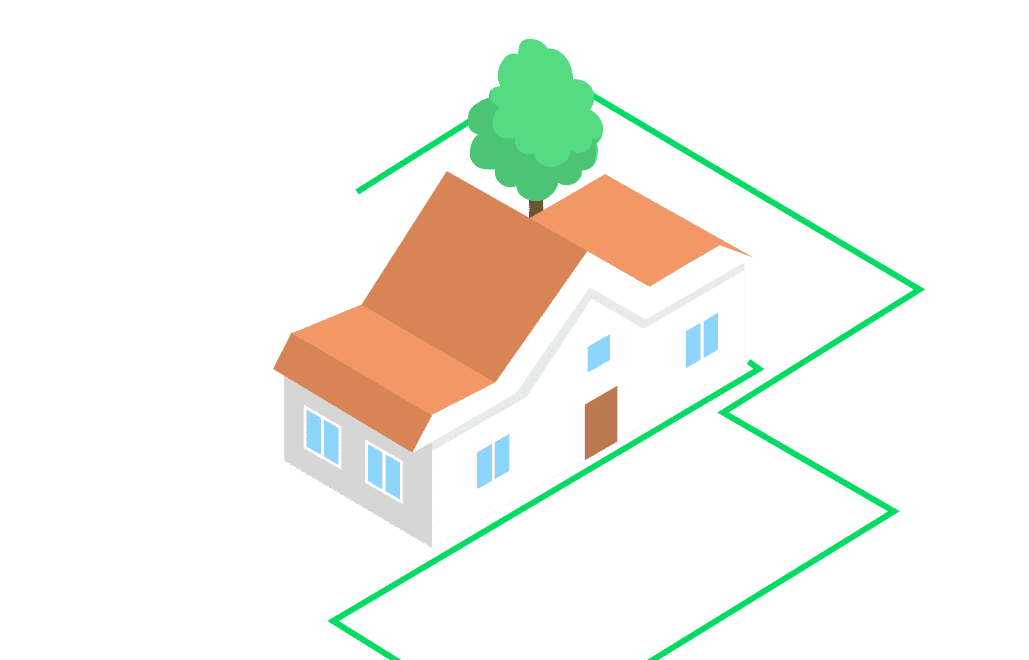 Trompillo (Solanum elaeagnifolium) - PictureThis