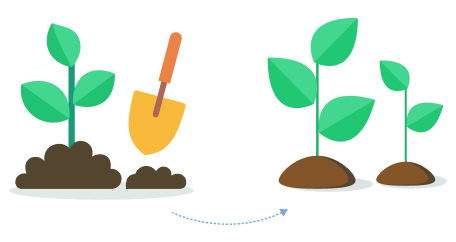 Pom-pom tree Care (Watering, Fertilize, Pruning, Propagation) - PictureThis