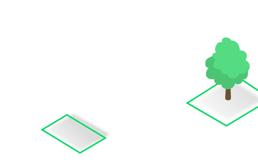 How to Plant and Grow Bitter ginger(Zingiber zerumbet)