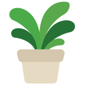 How to Plant and Grow Castor bean(Ricinus communis)