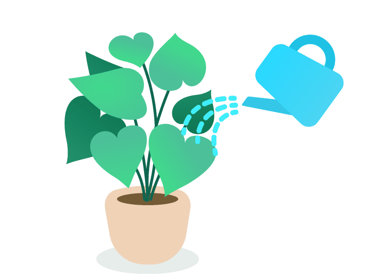 Japanese barberry 'Orange Rocket' Care (Watering, Fertilize, Pruning, Propagation) - PictureThis