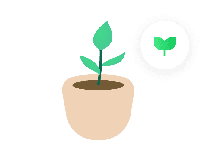 Derris Care (Watering, Fertilize, Pruning, Propagation) - PictureThis