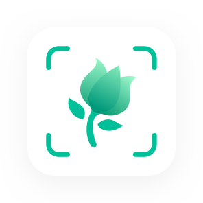 Top 20 Most Common Plants in Colombia - PictureThis